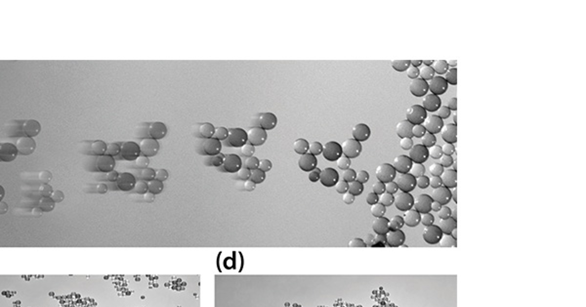 Self-assembly and Particle Aggregation in Stratified Fluids | SIAM