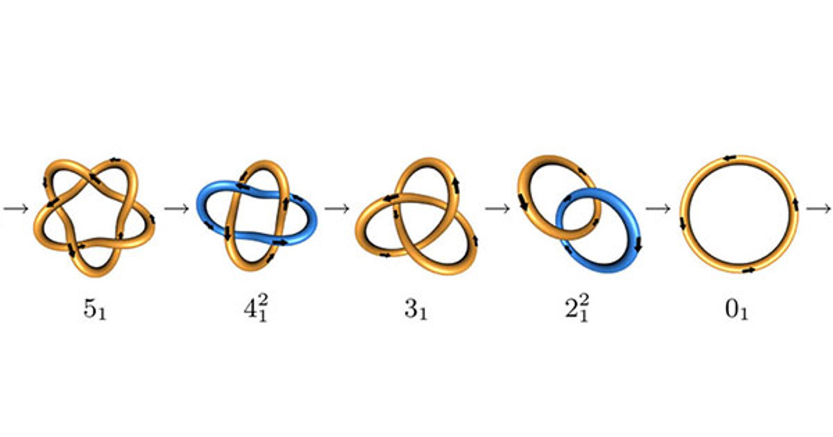 Untangling DNA with Knot Theory | SIAM